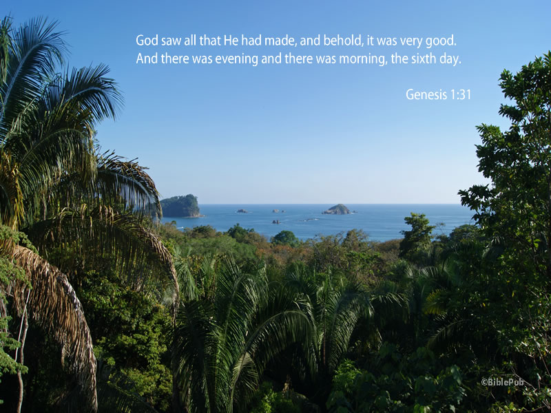 Preview - Wallpapers - Downloads - BiblePub