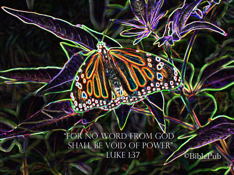 Preview - Wallpapers - Downloads - BiblePub