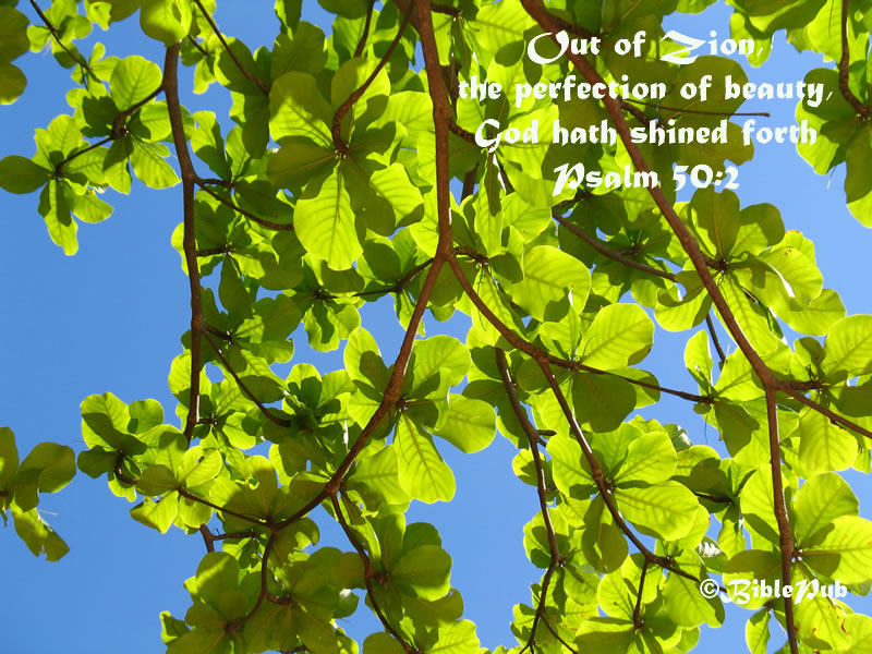 Preview - Wallpapers - Downloads - BiblePub